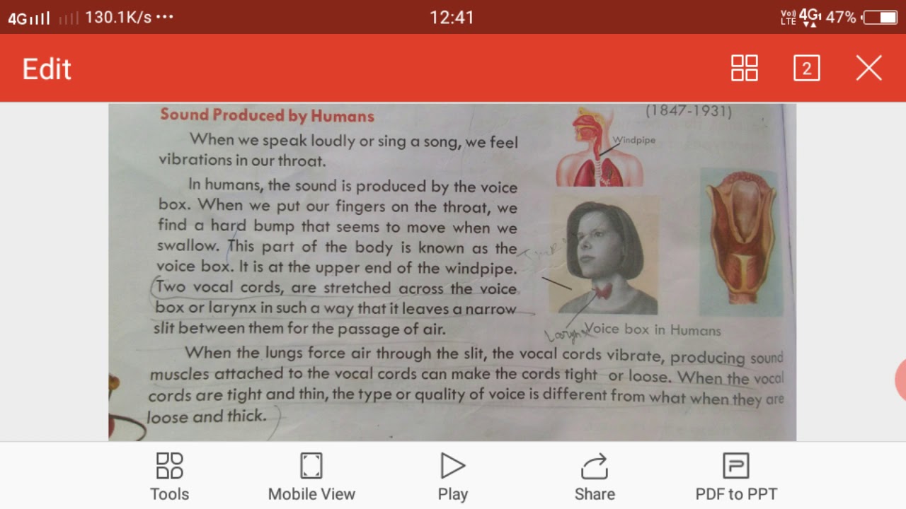 Science (class-8th) Chapter -11 - YouTube