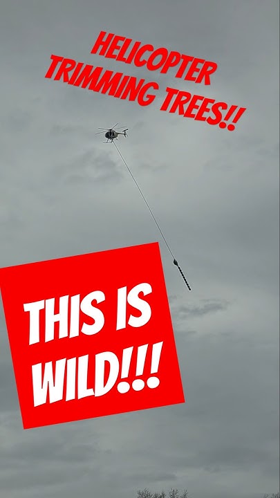 Helicopter Trimming Trees Around High Voltage Power Lines!! #shorts #lineman #helicopter - YouTube