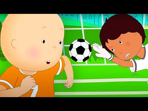 Le football ÉCHOUE, COMPÉTENCES et OBJECTIFS | Caillou en Français