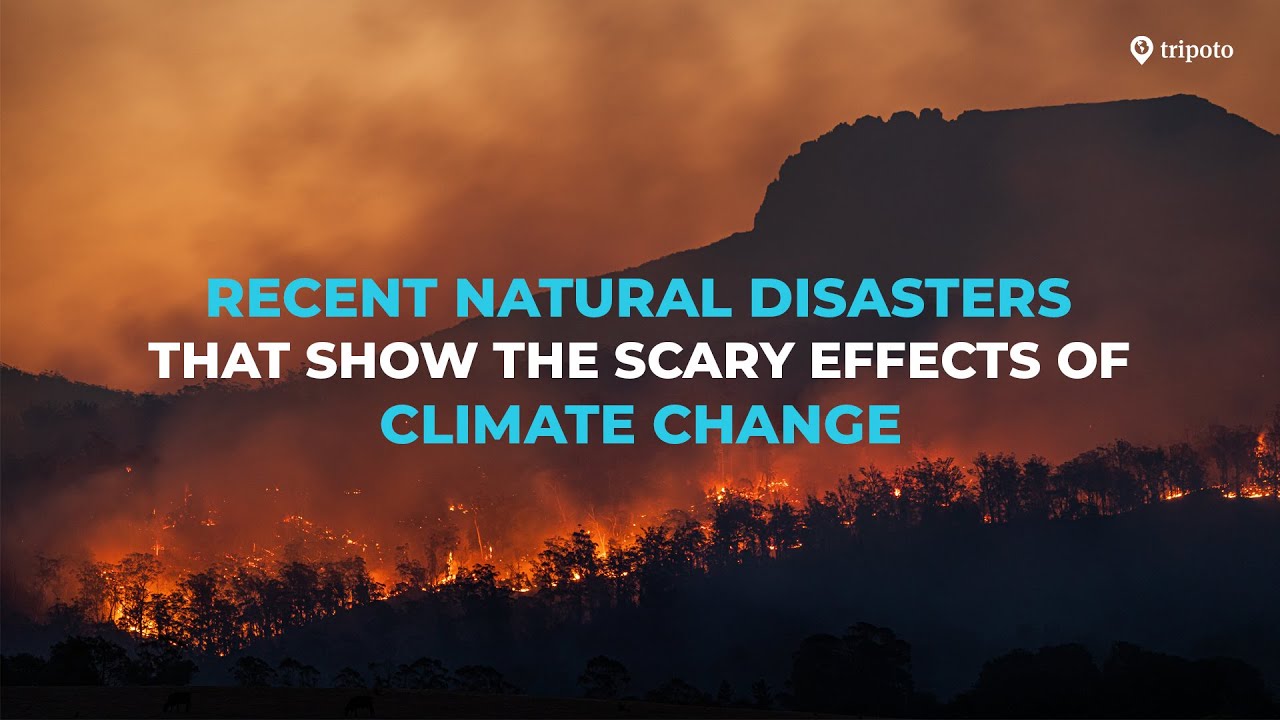 Scary Videos Show The True Horrors Of Climate Change | Floods, Heat ...