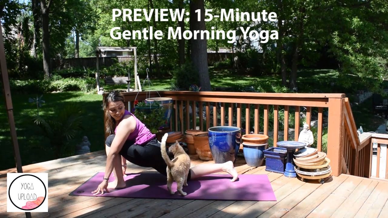 Gentle Morning Stretch and Flow with Yoga Cat - 25-second Preview - YouTube