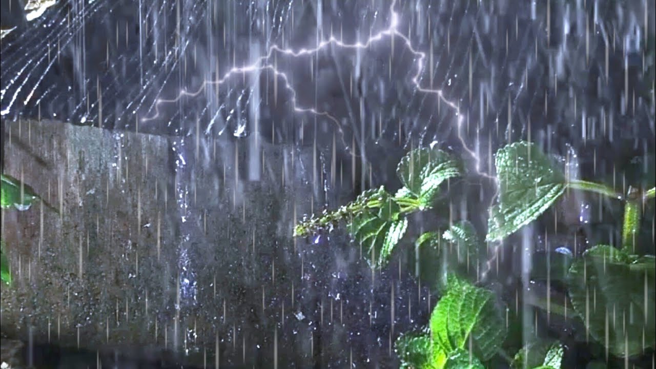 Soft rain sounds for sleeping rain on a rooftop 99% intantly asleep in ...