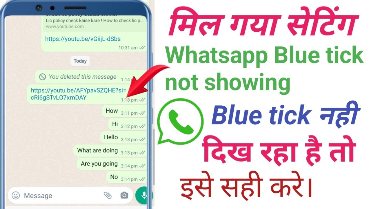 Whatsapp Message Seen But No Blue Ticks | Whatsapp Blue Tick Not ...