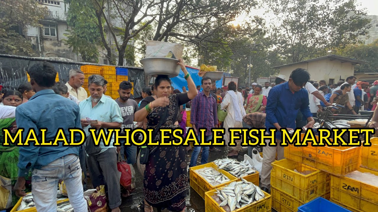 Mumbai Malad Wednesday Fish Market| Malad Fish Market 2022| Huge ...