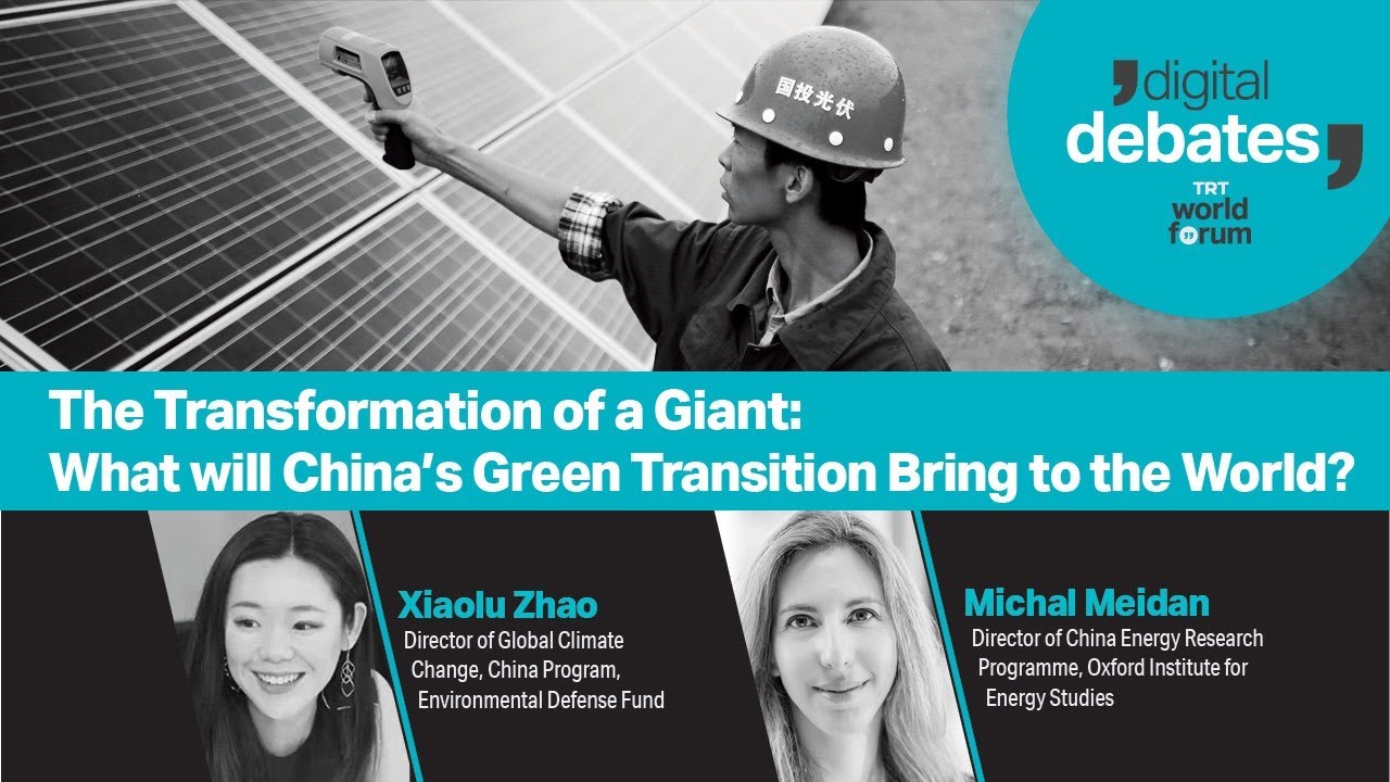 'The Transformation of a Giant: What will China’s Green Transition ...