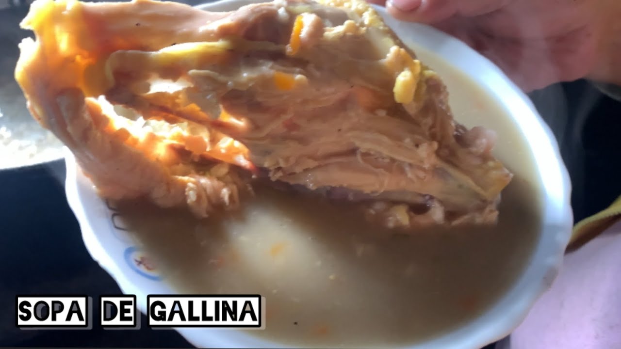 SOPA DE GALLINA CRIOLLA 🐔| COCINANDO CON CALICHE - YouTube