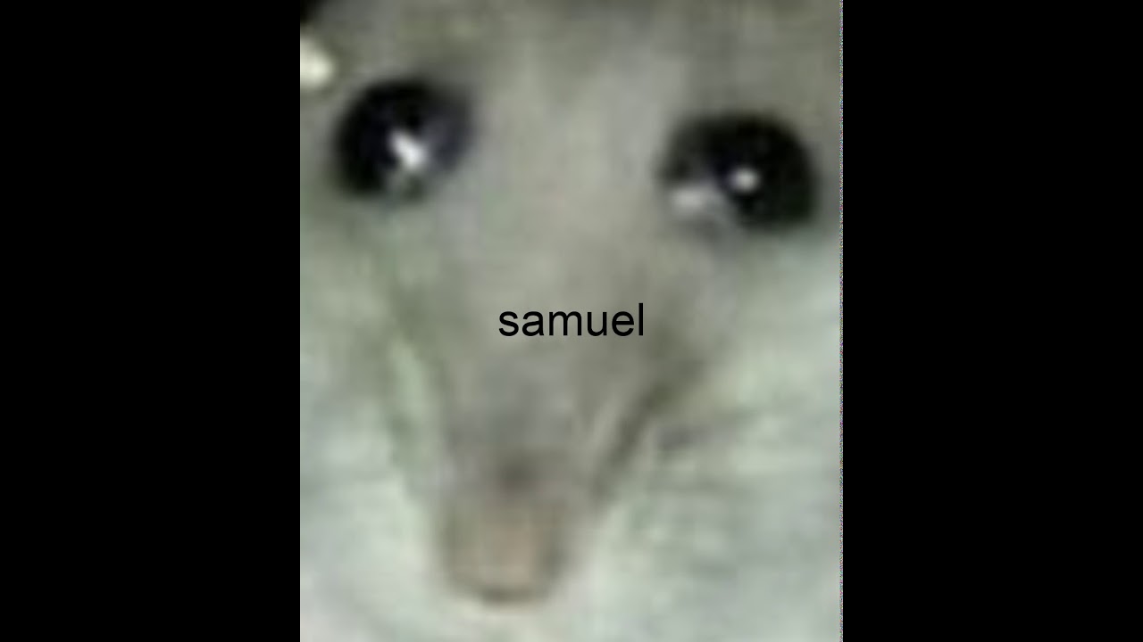 Samuel - YouTube