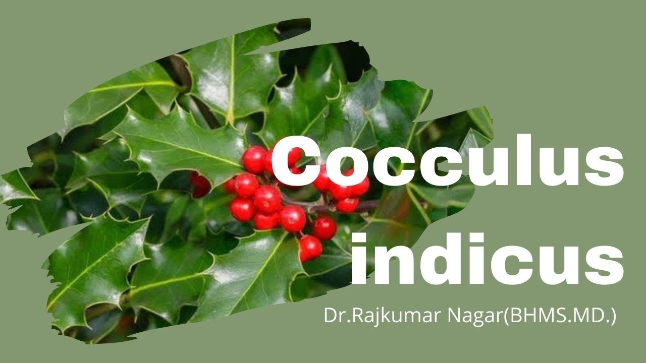 COCCULUS INDICUS By Dr.Rajkumar Nagar(BHMS.MD) - YouTube