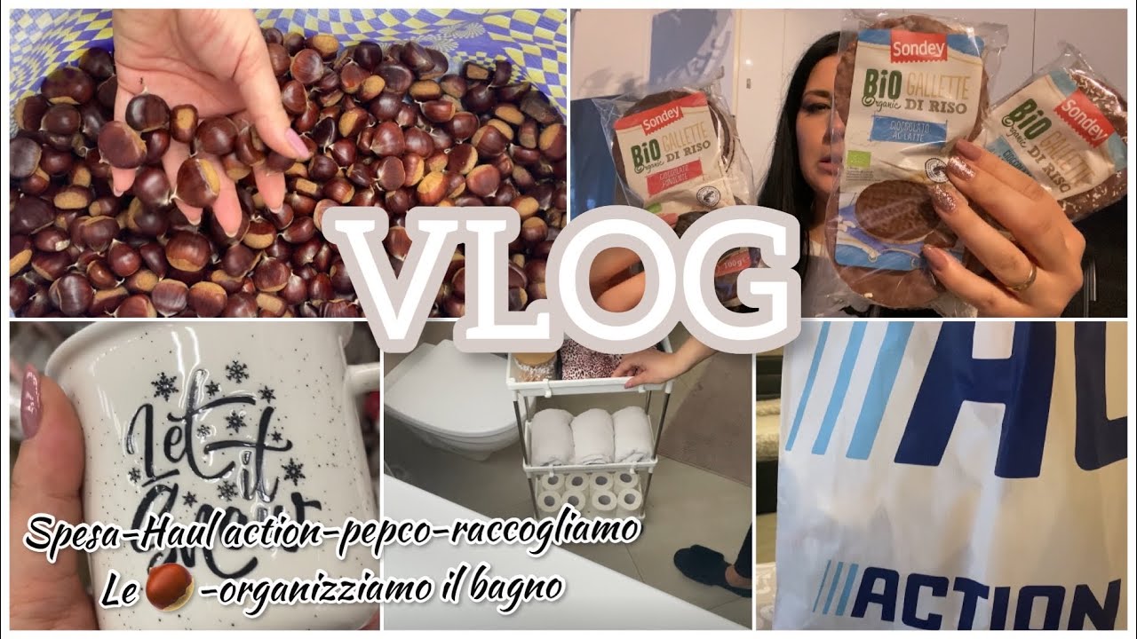 VLOG•Haul action•pepco•SVUOTA LA SPESA•RACCOLTO DI 🌰•organizzo il bagno ...