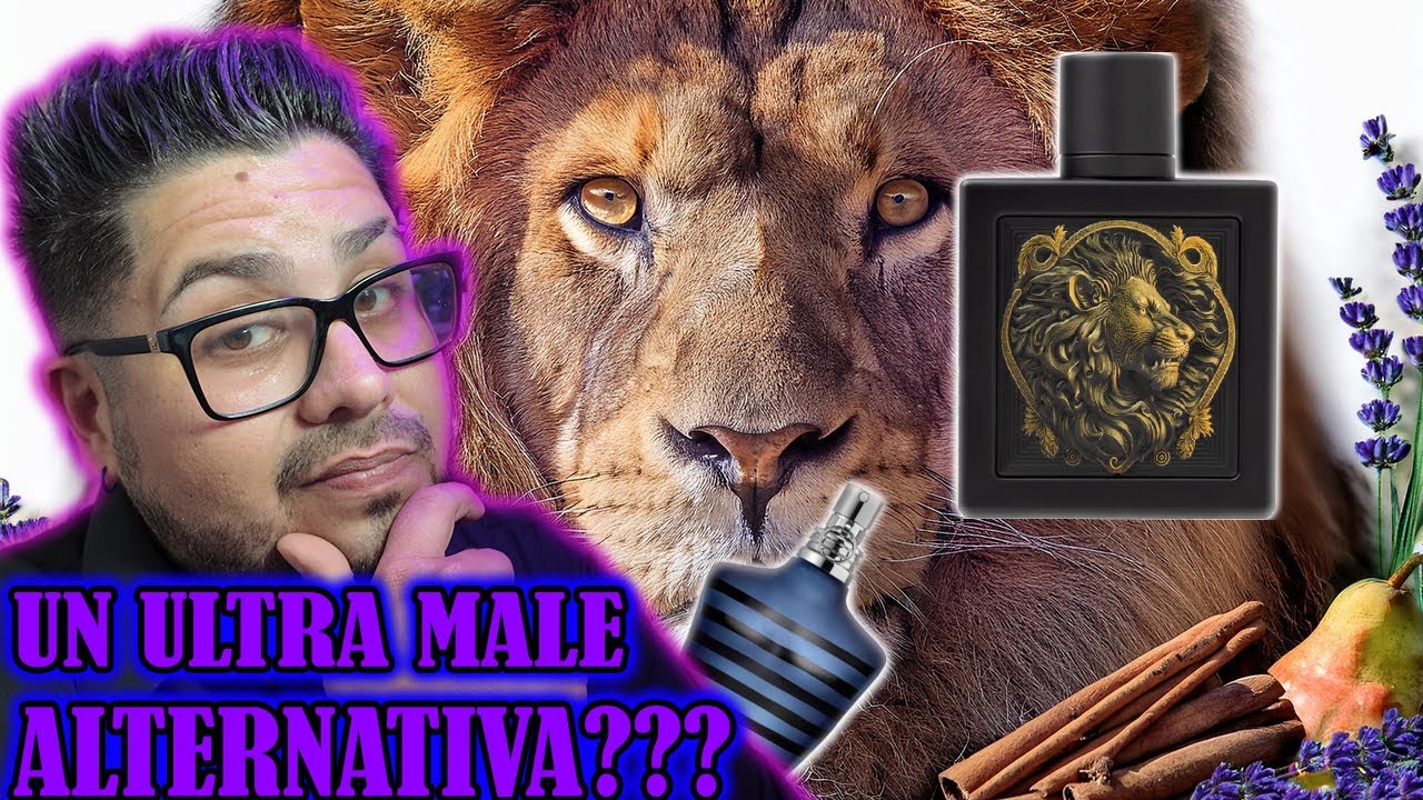 Rayhaan Lion 🦁 // Vale la Pena? // Reseña en Español - YouTube