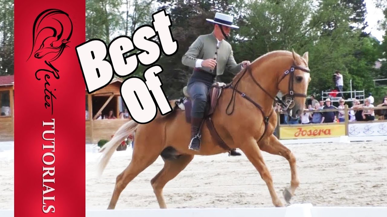 Working Equitation Best of WM 2018 Dressur Trail Part 1 ...