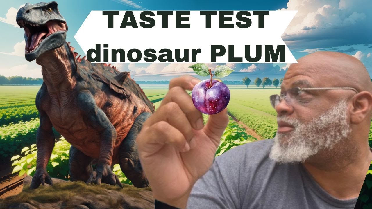 Dinosaur Plum - The Taste Test - YouTube