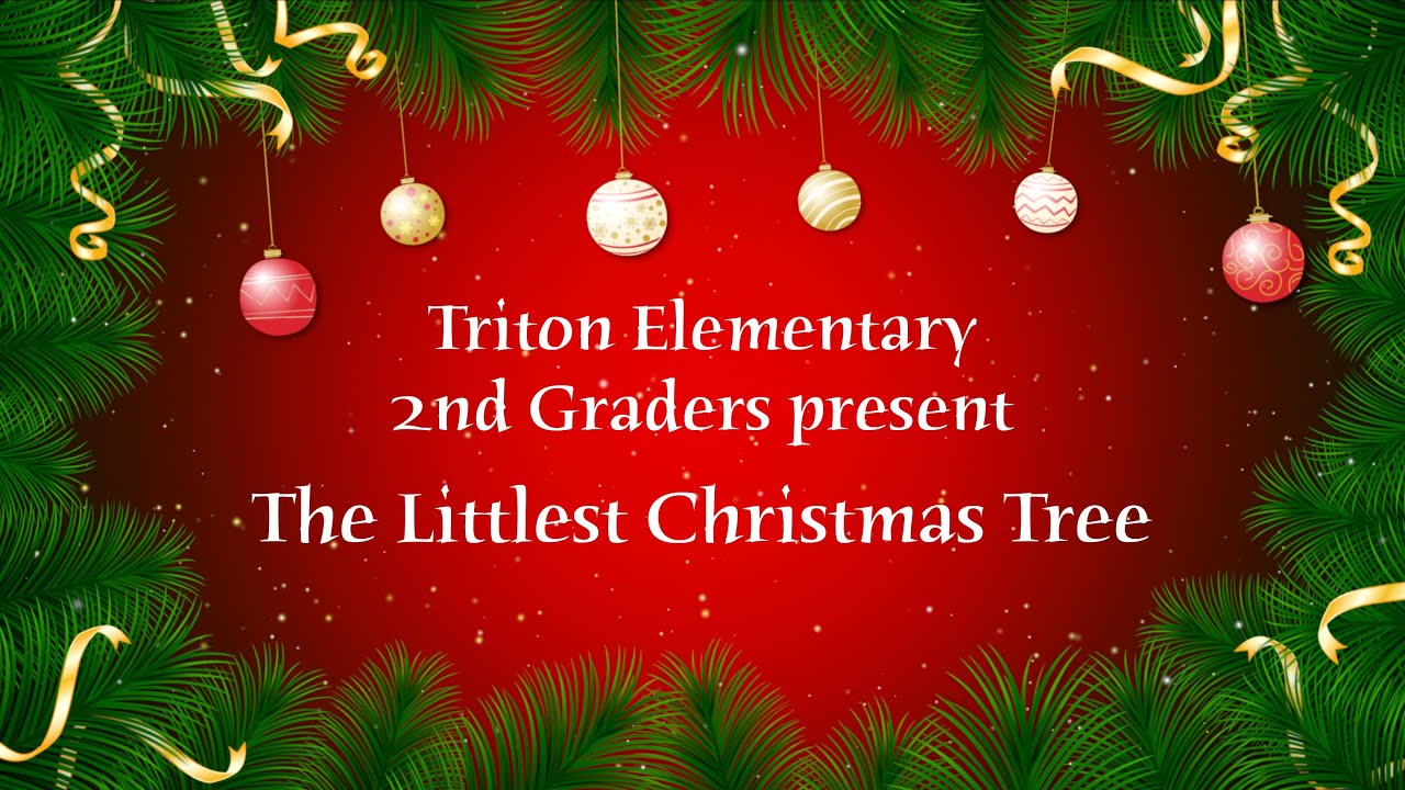 Triton 2nd Grade presents The Littlest Christmas Tree 🎄 12-19-2022 🎶 ...