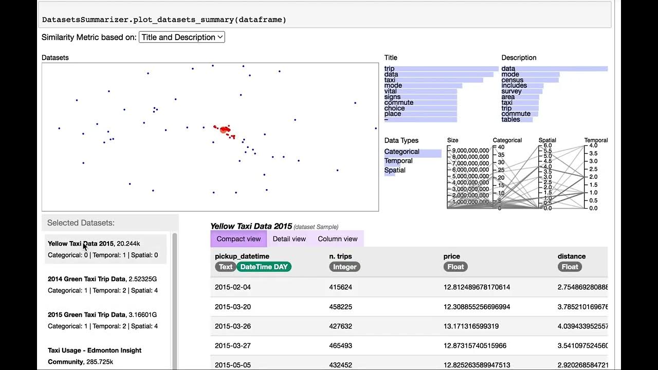 DatasetsSummarizer: Visualizing and Understanding Dataset Search ...
