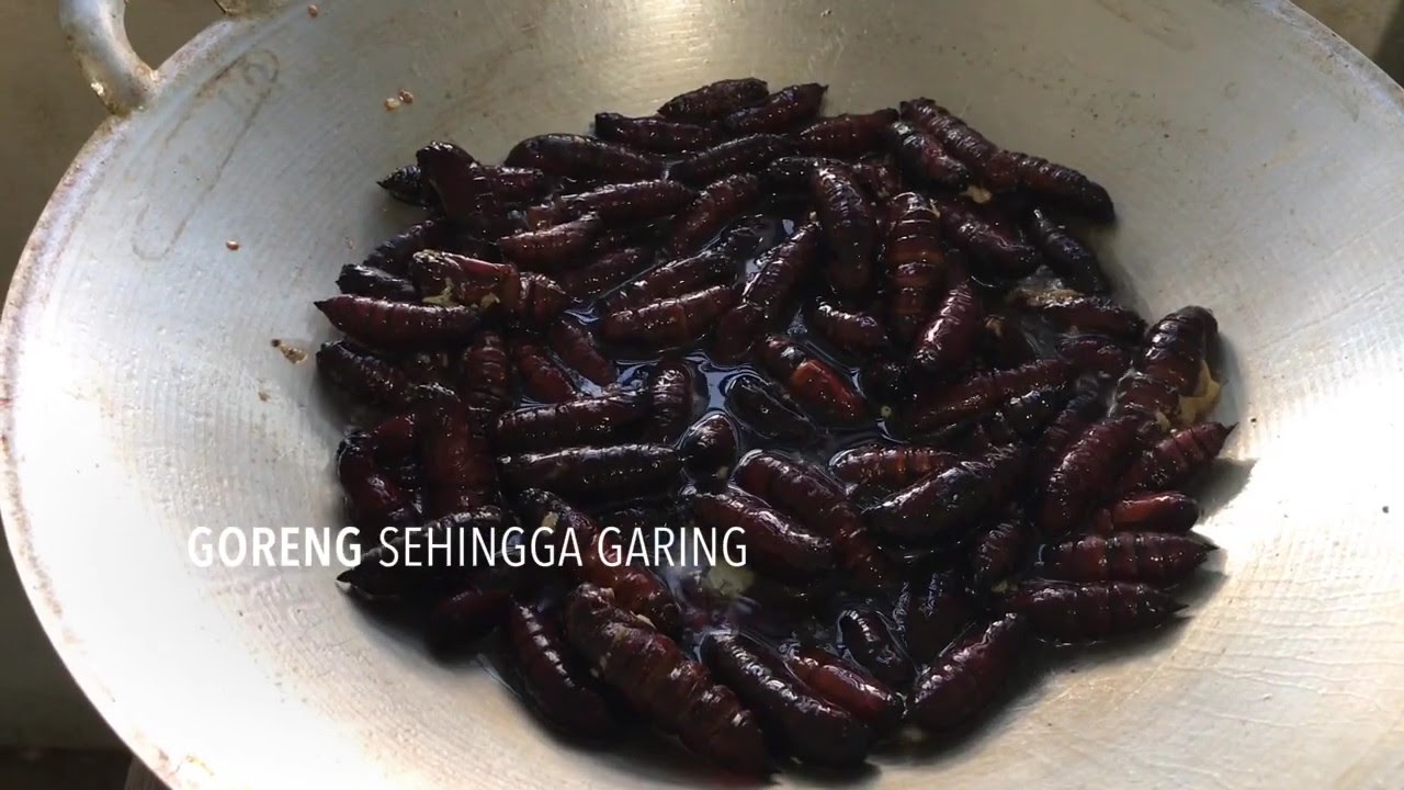 Cooking VLOG #2 | Lelamas - Makanan Exotic - YouTube