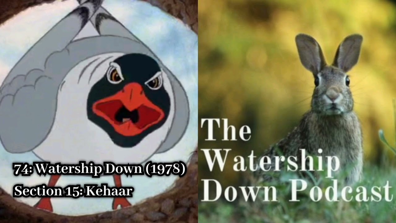 74: Watership Down (1978) Section 15: Kehaar - YouTube
