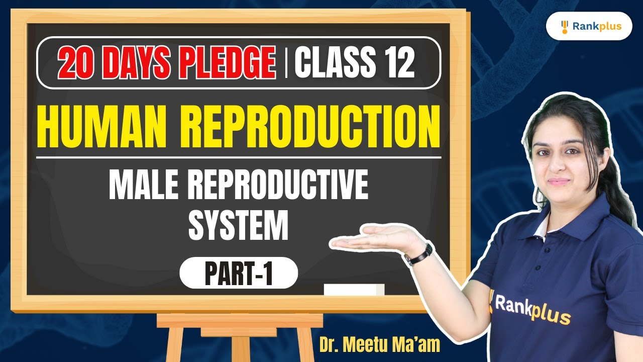 Human Reproduction | Part -1 | 20 Days Pledge | Class 12 | Biology by Meetu Ma'am | Rankplus ...