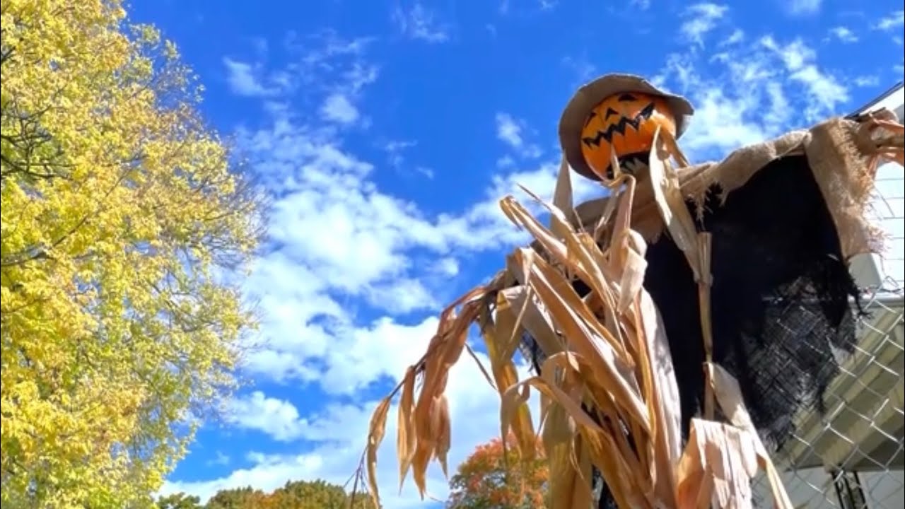 Rural Midwest October Vibes - YouTube