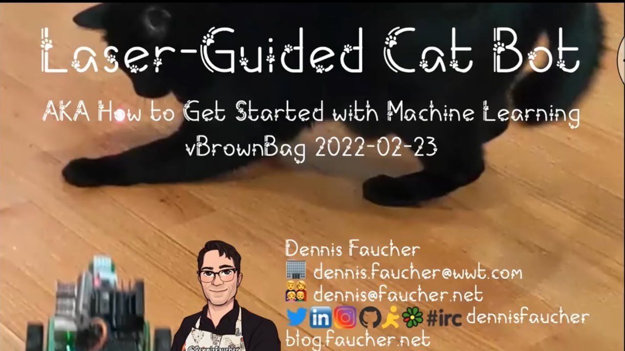 Laser Guided Cat Bot Teaches How to Get Started with Machine Learning ...