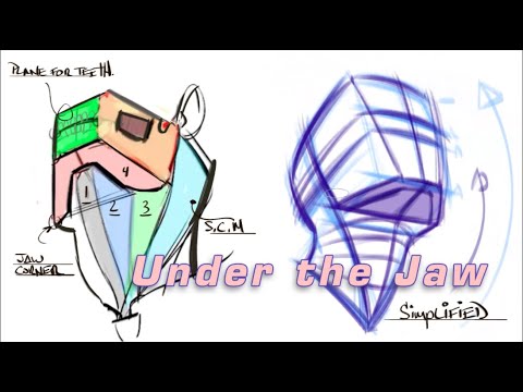 How to Draw Under the Jaw: FORCE Friday 231 - YouTube
