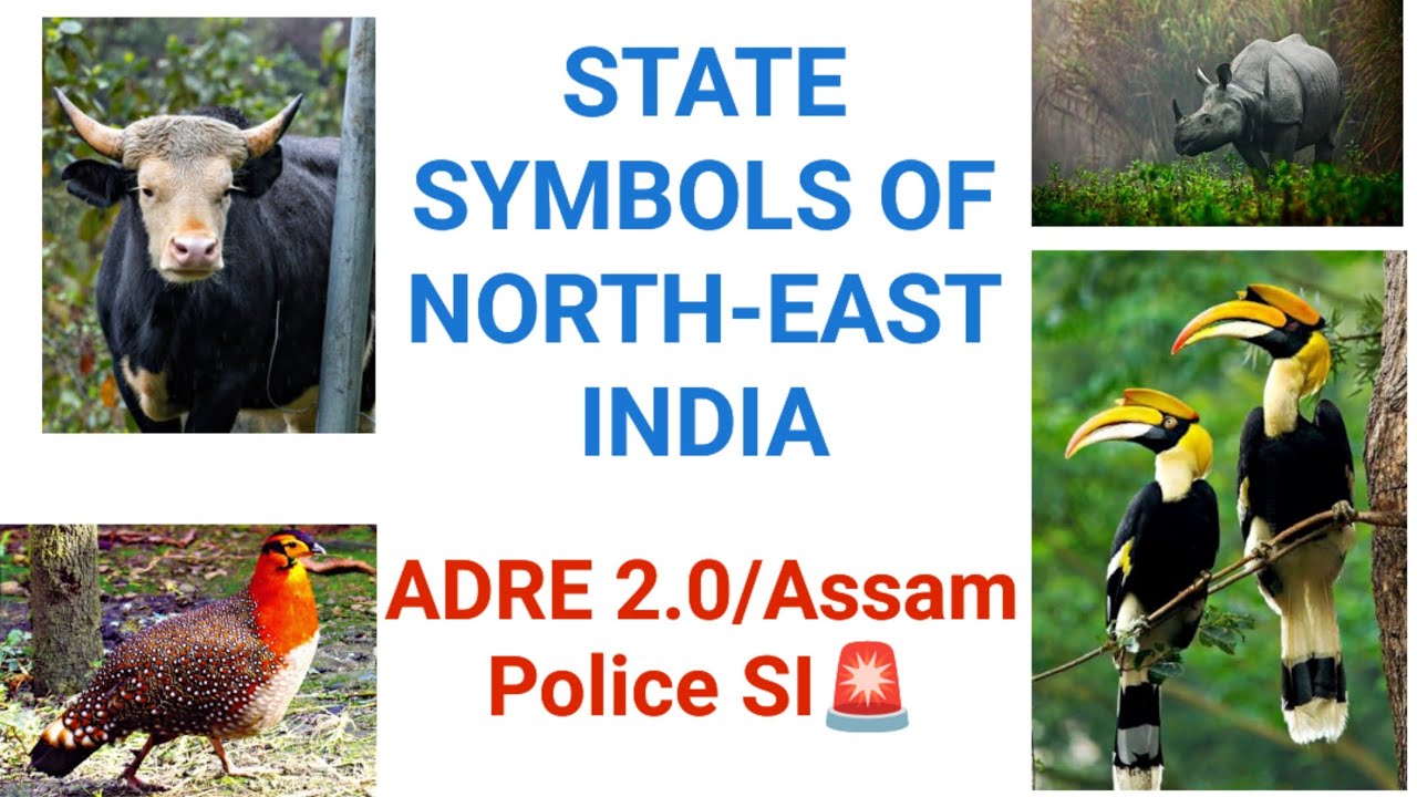 Northeast GK | State Symbols of Northeast | Assam GK - YouTube