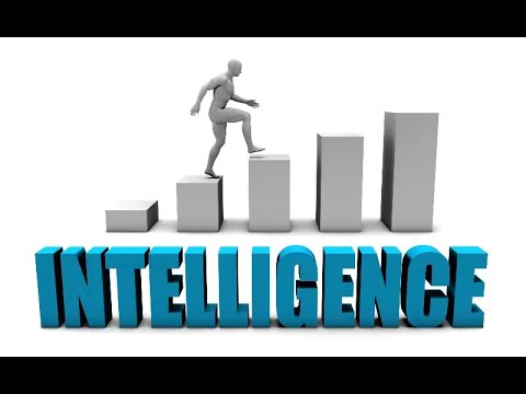 How to Activate Your Success Intelligence - YouTube
