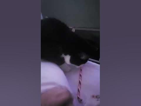 AWEEE - YouTube