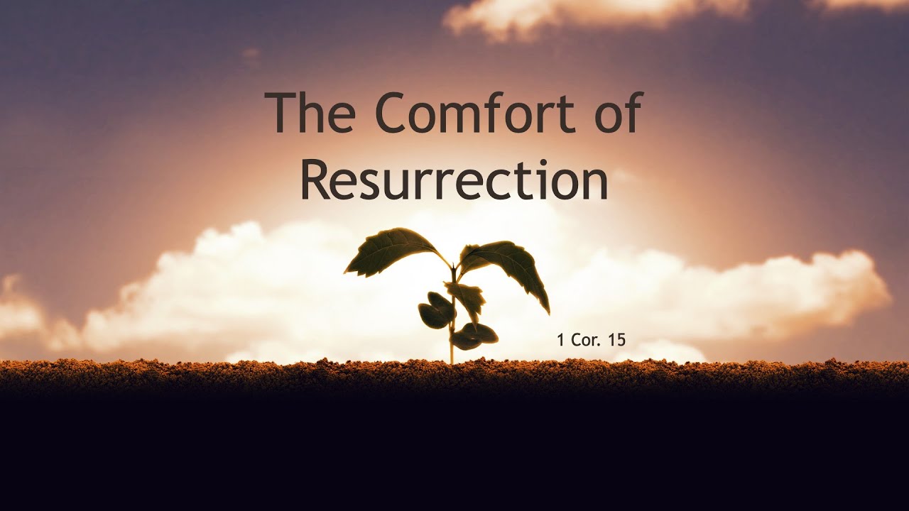 The Comfort of Resurrection (1 Cor 15) - YouTube