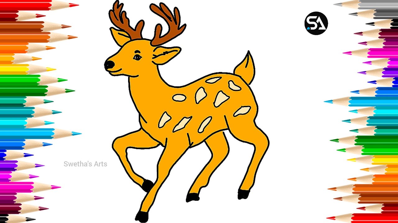 How to draw a deer drawing for kids | painting and colouring for kids ...