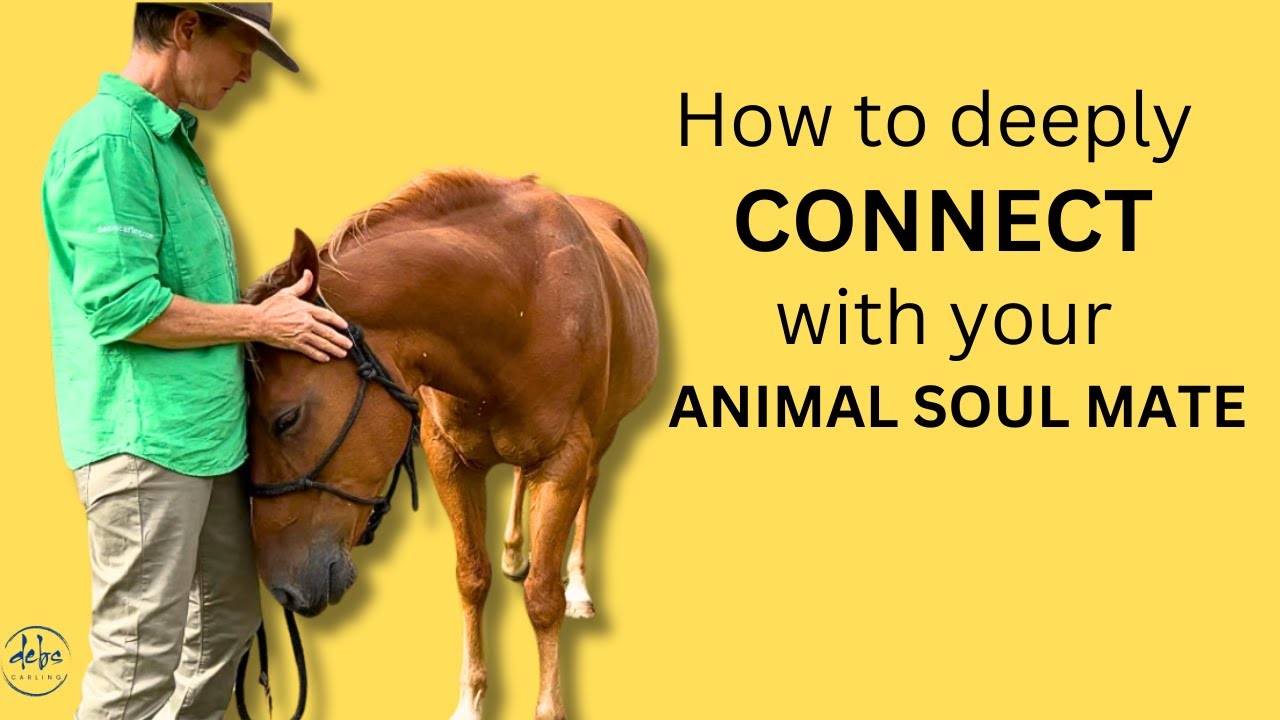 CONNECT with your ANIMAL: How to deeply connect with your horse - YouTube