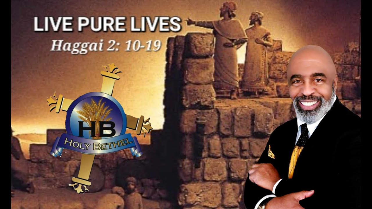 LIVE PURE LIVES - YouTube