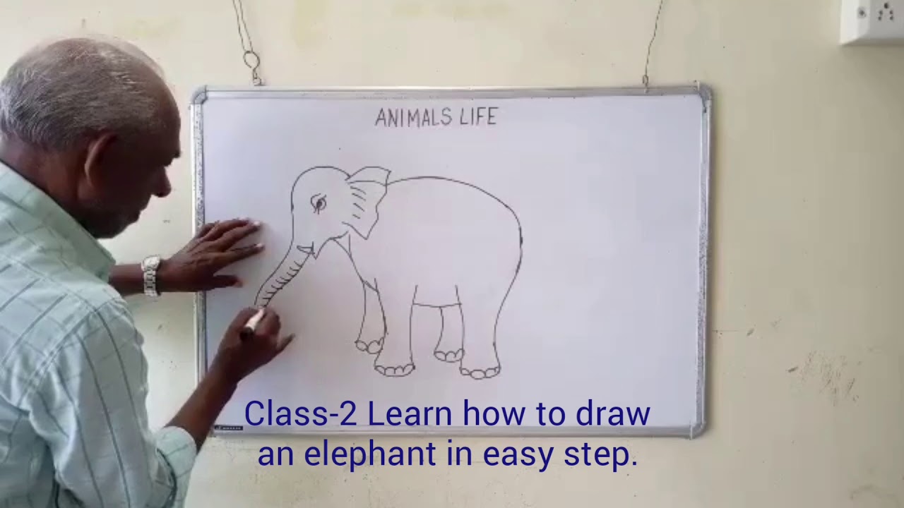 Class-2 - Elephant Draw - YouTube