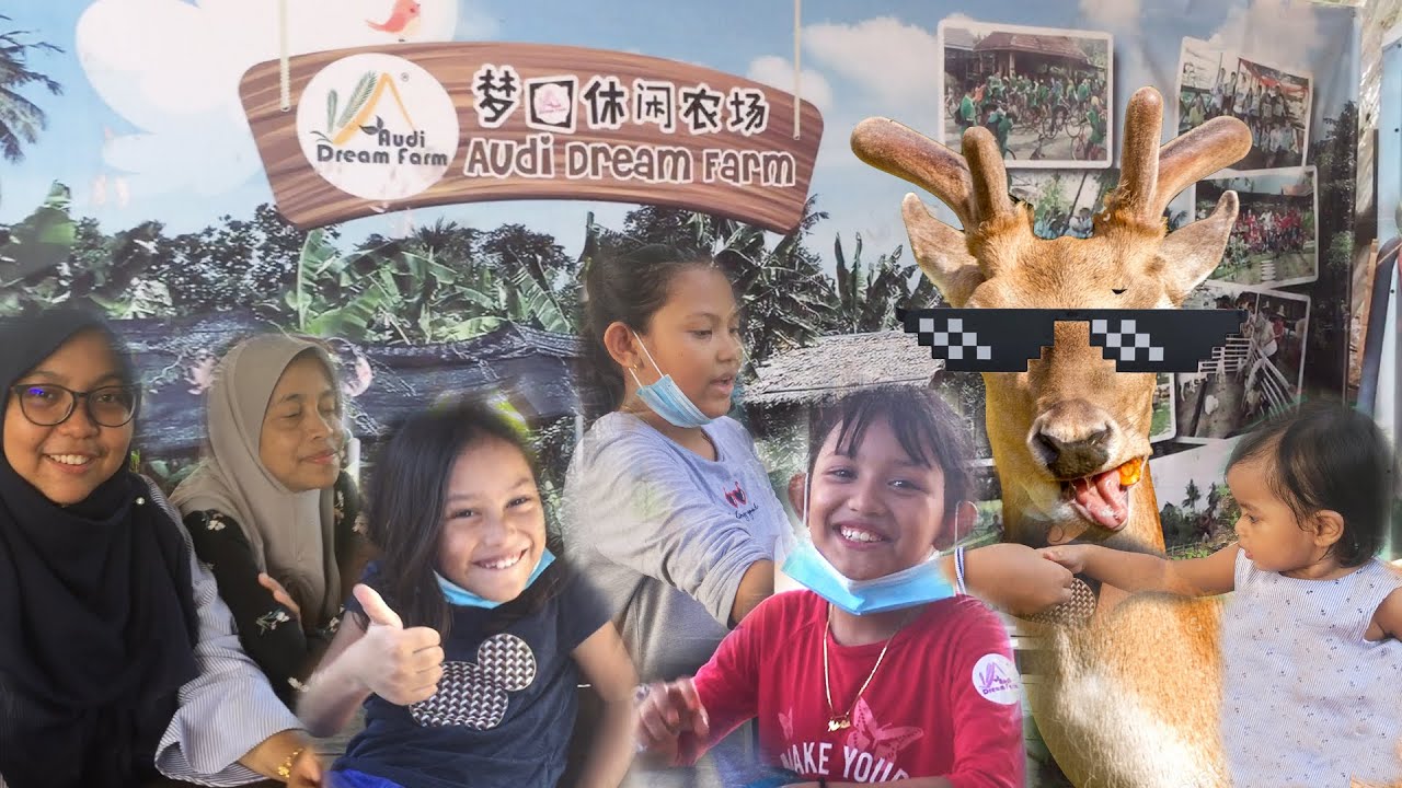 Trip ke Audi Dream Farm Balik Pulau Penang - YouTube