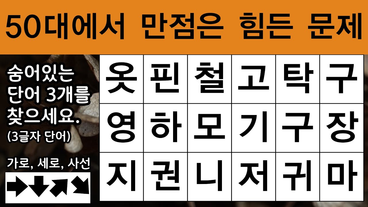 50대에서 만점은 힘든 문제 치매예방퀴즈 치매예방활동 치매테스트 숨은단어찾기 집중력키우기 단어퀴즈