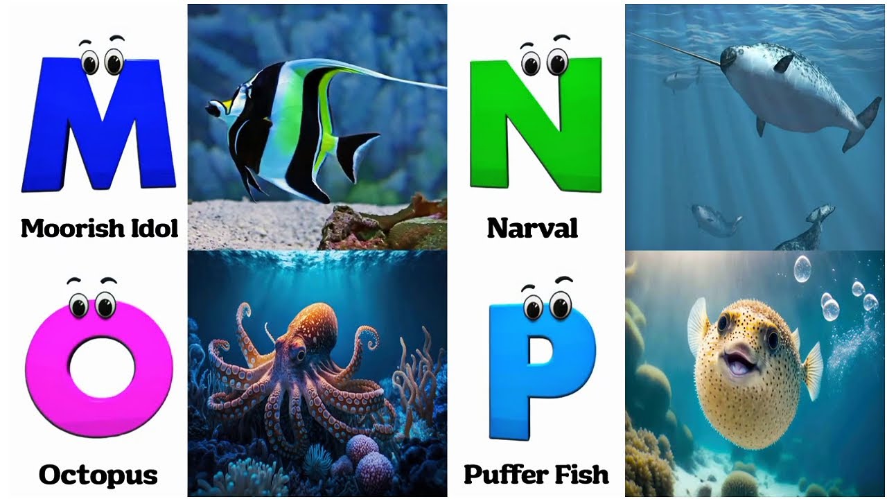 ABC Song | Sea 🐟 Animals ABC Song | Phonics for Kids, Learn ABC, Baby ...