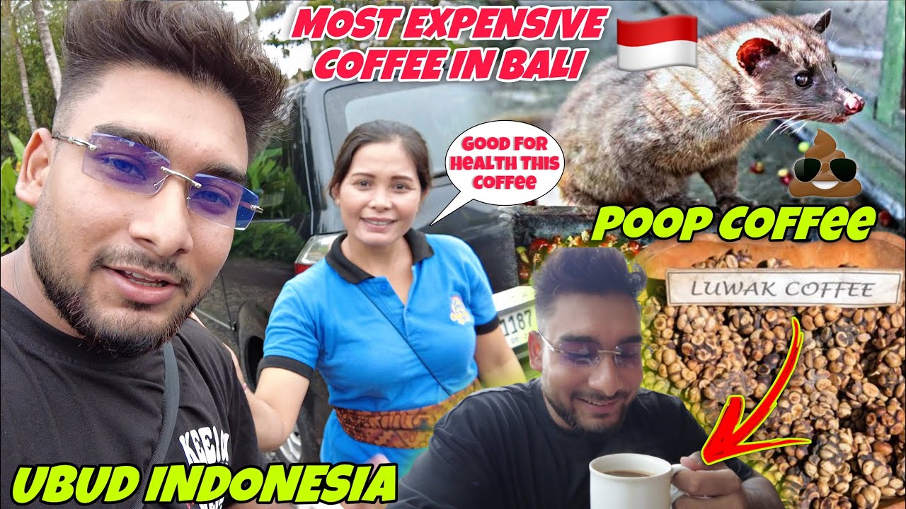 INDIAN Try POOP COFFEE For First Time In BALI 🤮| Most Expensive Luwak ...