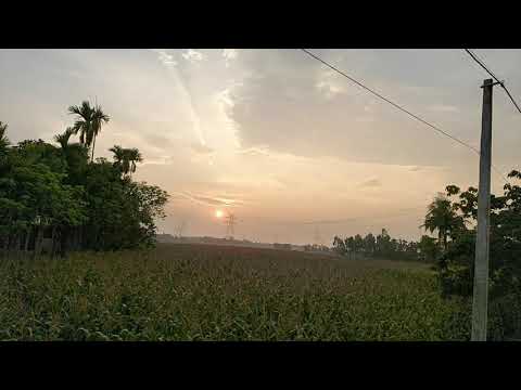 Sugar & Brownies Whatsapp status #augustdiaries #music