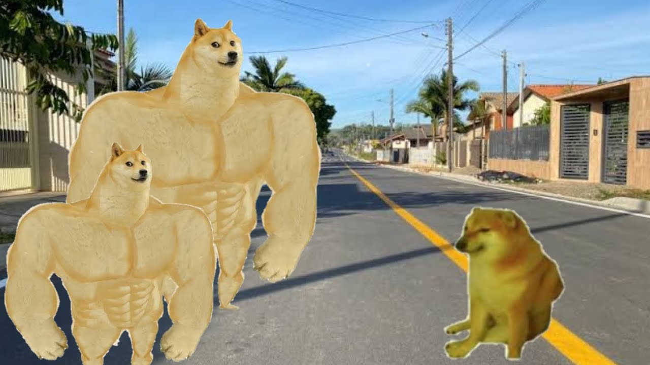 A tropa caramelo!(cachorrinho caramelo) - YouTube