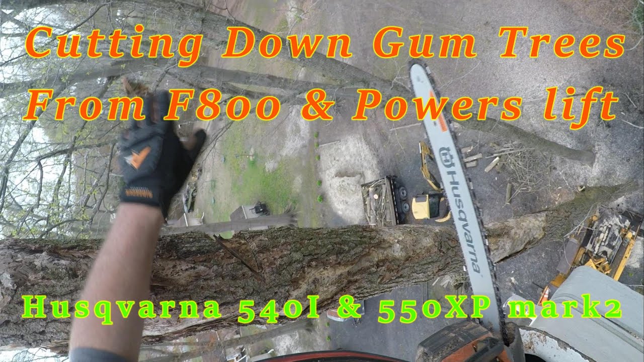 Cutting Down Dead Gum trees from a powers lift - YouTube