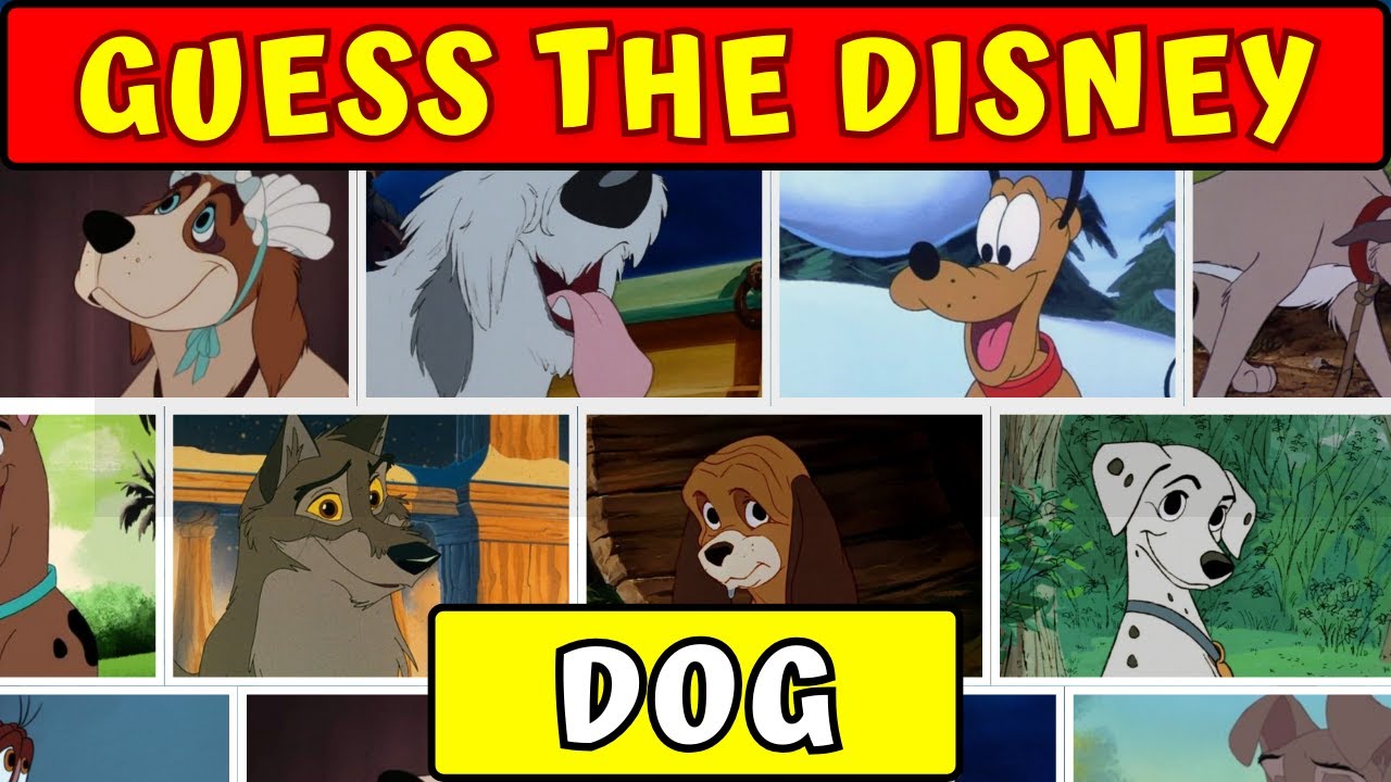Guess the Dog Quiz 🐶 | Disney Dog Quiz - YouTube