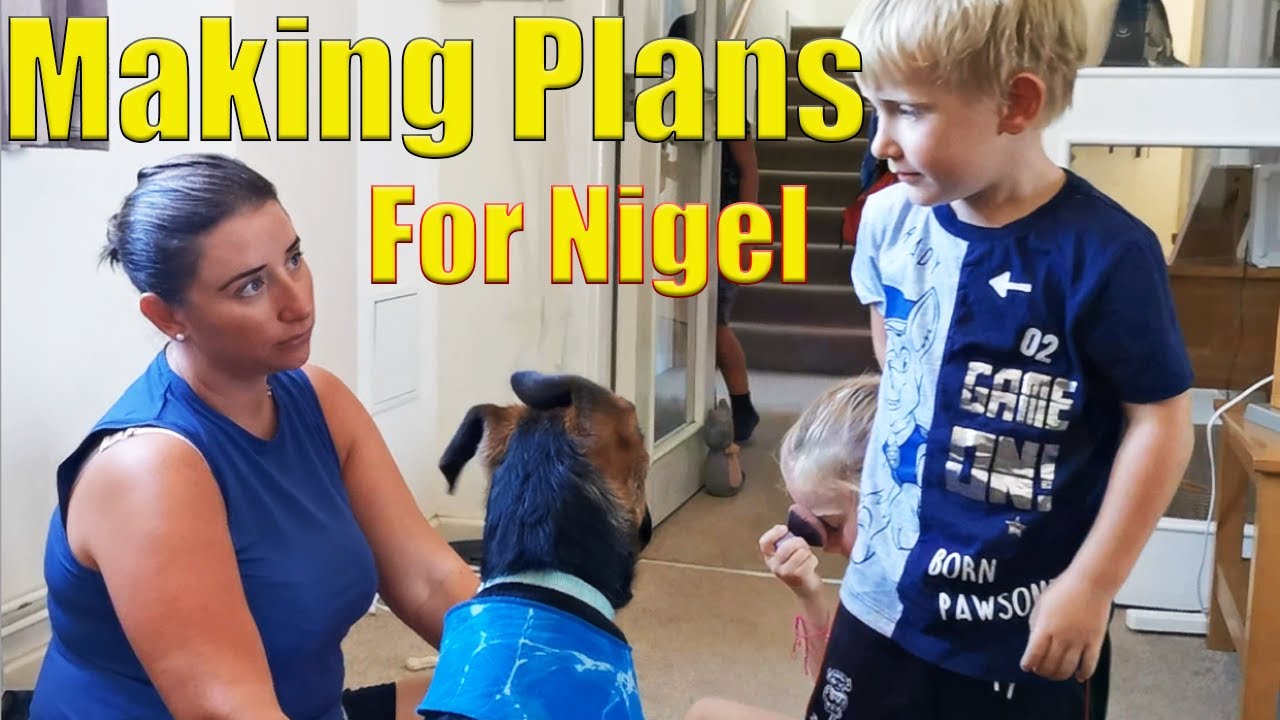 Making plans for Nigel at the beach And More News Vlog - YouTube