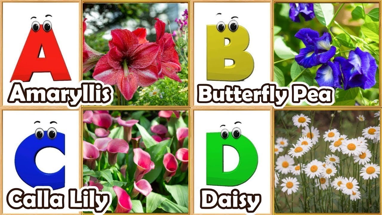 Flowers ABC Song for Kids - Phonics for Kids - Learn Alphabet Letters ...
