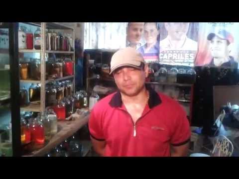 Mis Bettas - Gente Betta Venezuela - YouTube