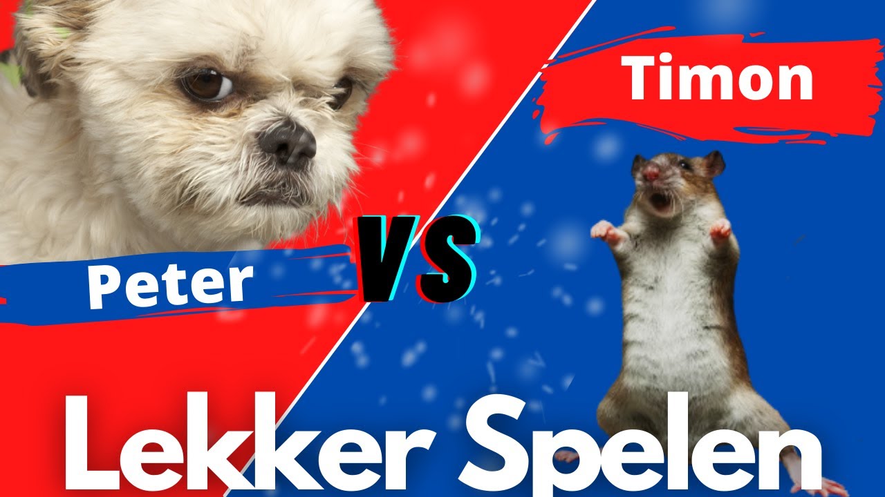 PETER vs TIMON - YouTube