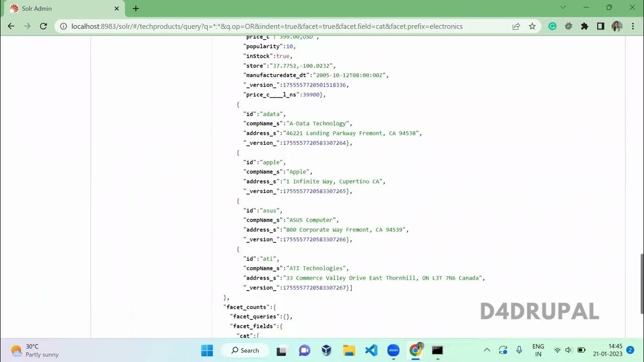 Facets in apache solr | D4Drupal - YouTube