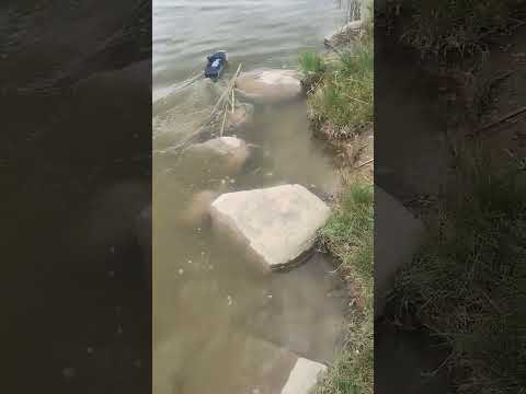 boat today video - YouTube