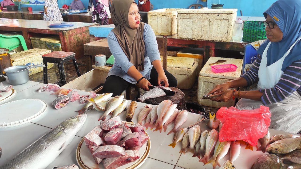 Beli Ikan Katamba di Pasar Ikan Tradisional, 50 ribu dapat 7 ekor ...