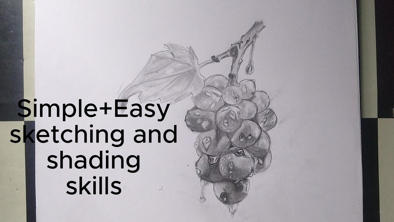 How to draw grapes step by step: beginners guide - YouTube
