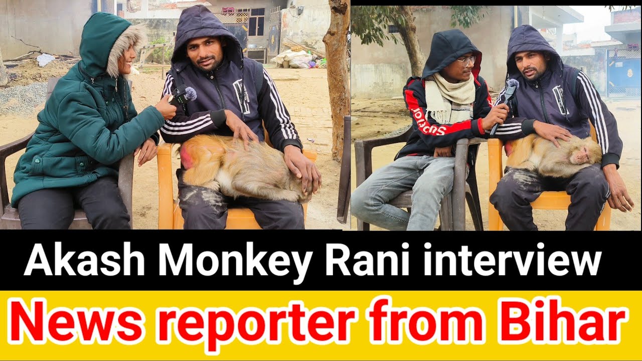 News reporter from Bihar ।। Akash Monkey Rani interview।। @AkashRBL783 ...