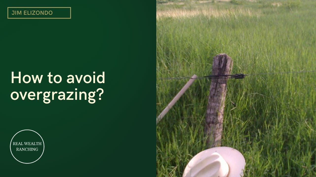 7 Proven Rotational Grazing Methods to Prevent Overgrazing Now ...